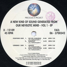 Precious X Project ‎– A New Kind Of Sound Generated From Our Nevrotic ...