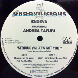 Endeva Featuring Andrea Tafuri – Serious (What's Got You) 12" - Curto ...