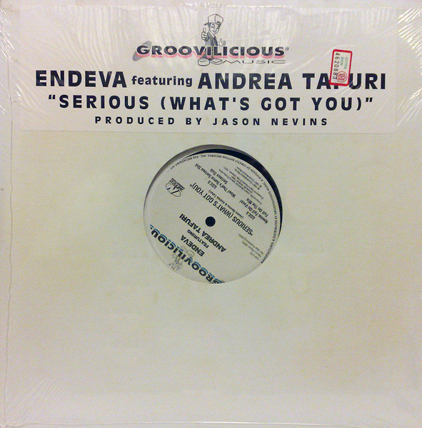 Endeva Featuring Andrea Tafuri – Serious (What's Got You) 12" - Curto ...
